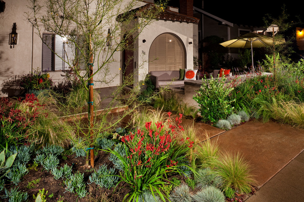 California-Friendly Plants - Modern - Landscape - Los Angeles - by Cade ...