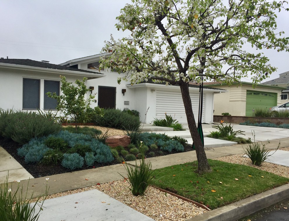 California Native Beach House Front Yard - Contemporary - Landscape ...