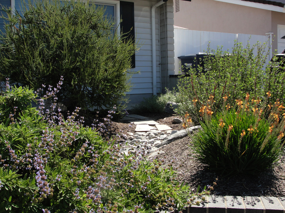 California Native Landscapes - Traditional - Landscape - Orange County ...