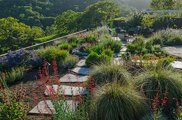 California Native Splendor - Traditional - Landscape - San Francisco ...
