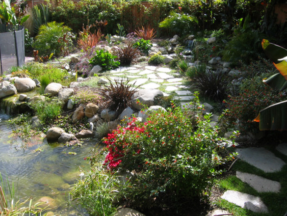 California Waterscapes - Pond Gallery - Contemporary - Landscape - Los ...