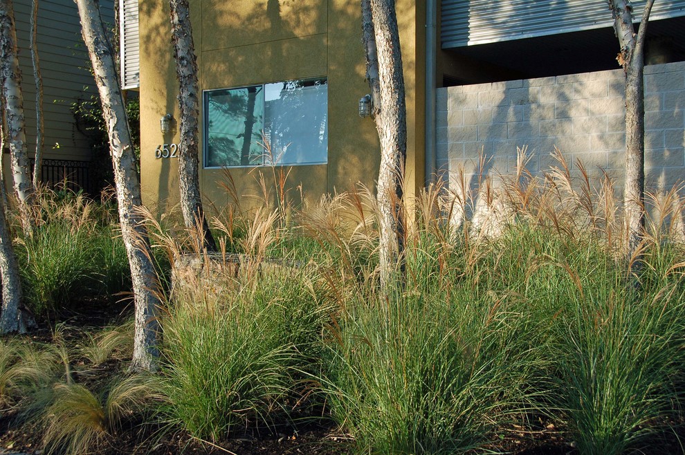 Camp Logan - Contemporary - Landscape - Houston - by User | Houzz
