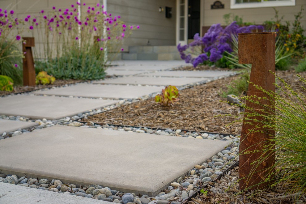 Campbell Front Yard Xeriscape - Modern - Landscape - San Francisco - by ...