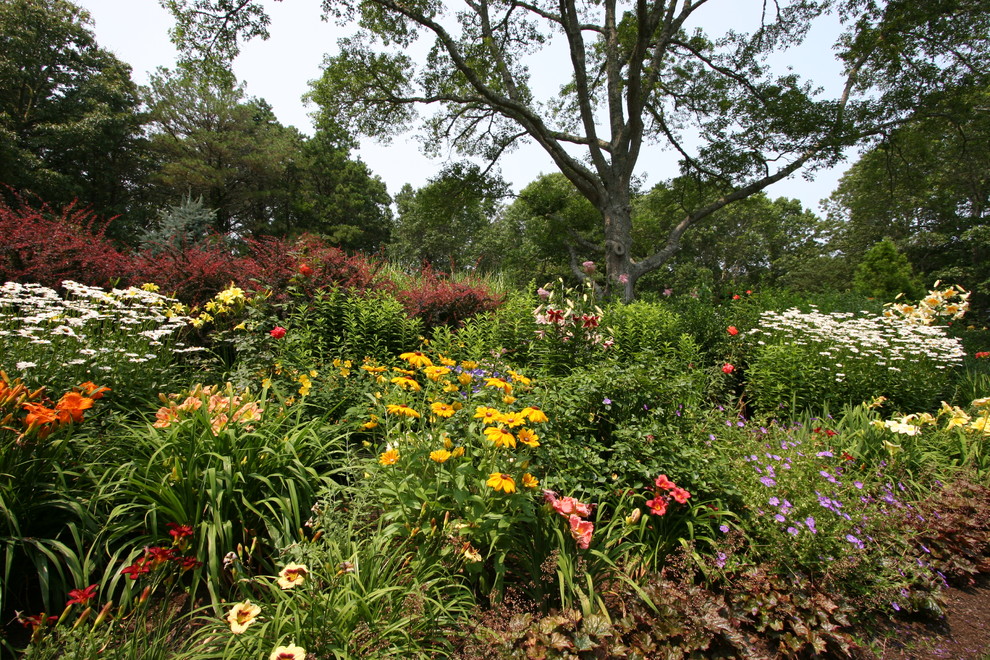 Cape Cod Garden - Traditional - Landscape - Boston - by Mary LeBlanc ...