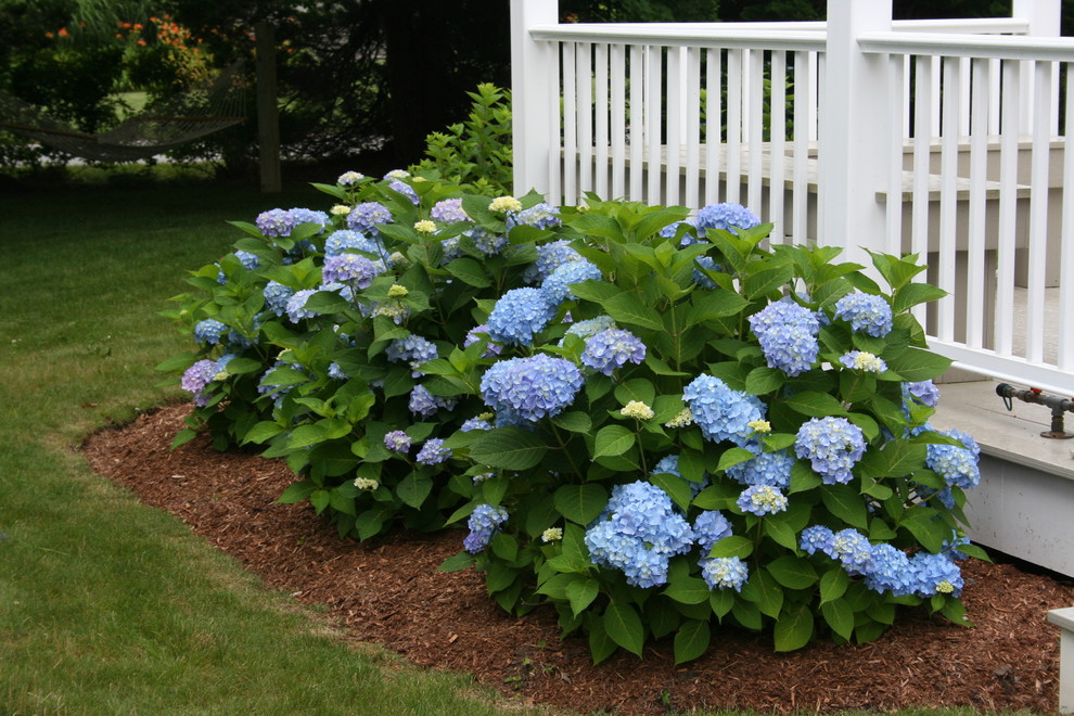 Cape Cod Gardens - Landscape - Boston - by Kathleen M Caldara Landscape ...