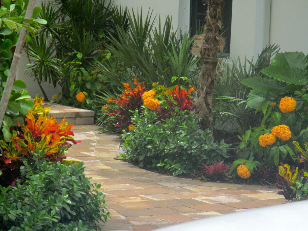 Caribbean Landscaping Ideas - Tropical - Landscape - Miami - by Matthew ...