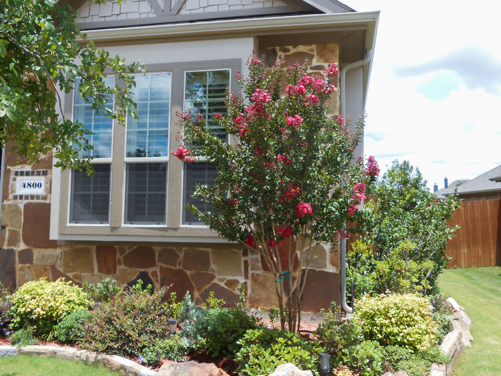 Centennial Crape Myrtle - Landscape - Dallas - by Treeland Nursery | Houzz
