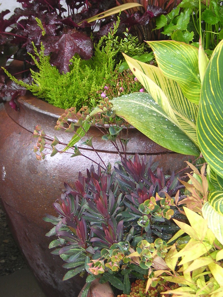 Ceramic pot detail - Landscape - Seattle - by PUGET SOUND LANDSCAPING ...