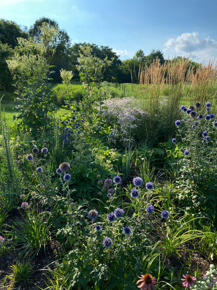 Charming DPG Studio, East Vincent Township - Farmhouse - Landscape ...