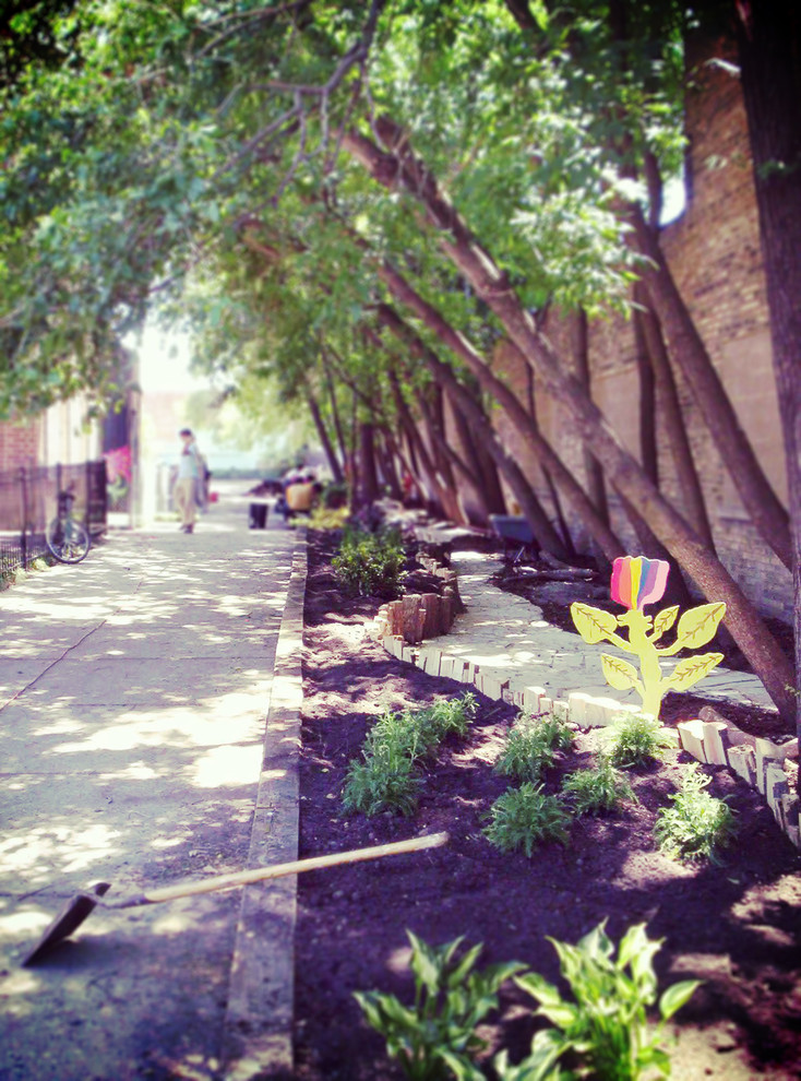 Chicago Community Garden - Traditional - Landscape - Chicago - by ...