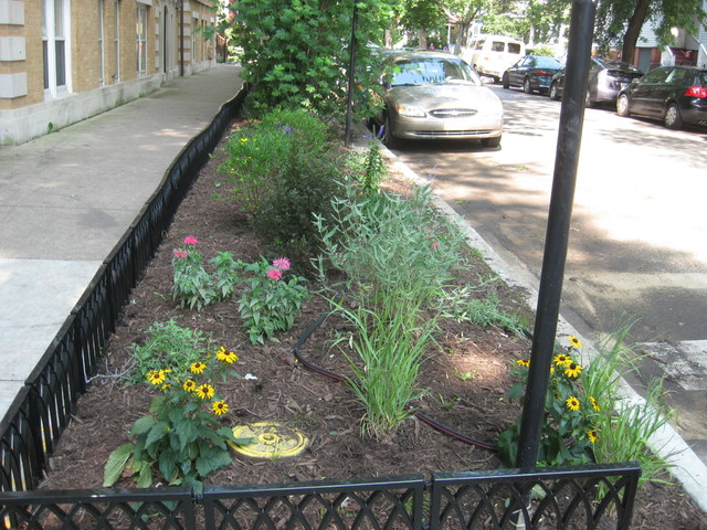 Chicago Condo Building Front Garden & Parkway - Contemporain - Jardin ...