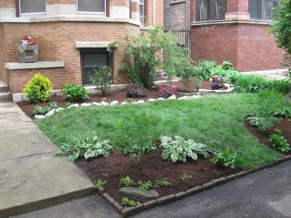 Chicago Condo Front Yard Landscaping - Traditional - Landscape ...
