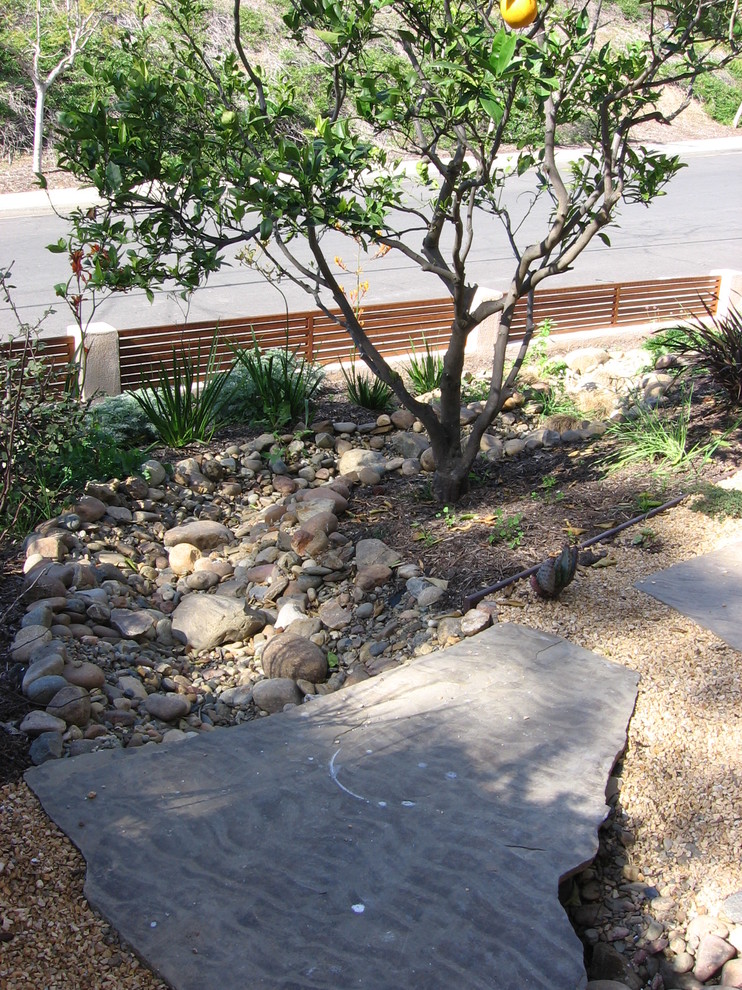 Clairmont Drought Tolerant Garden - Contemporary - Landscape - San ...