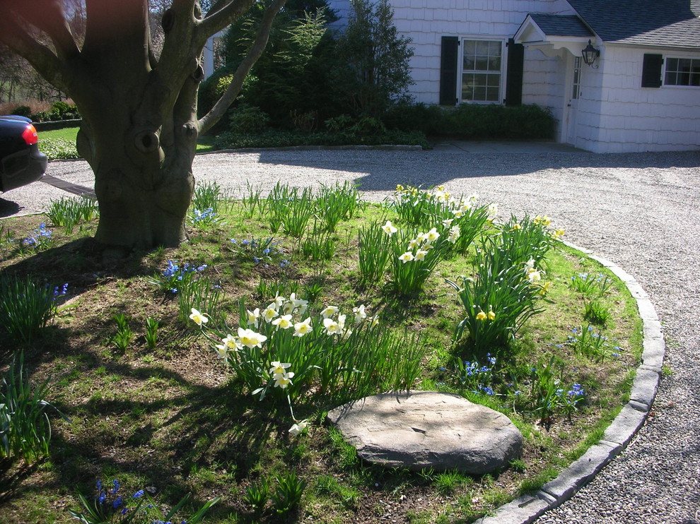 Classic colonial - Traditional - Garden - New York - by Pierce Hill ...