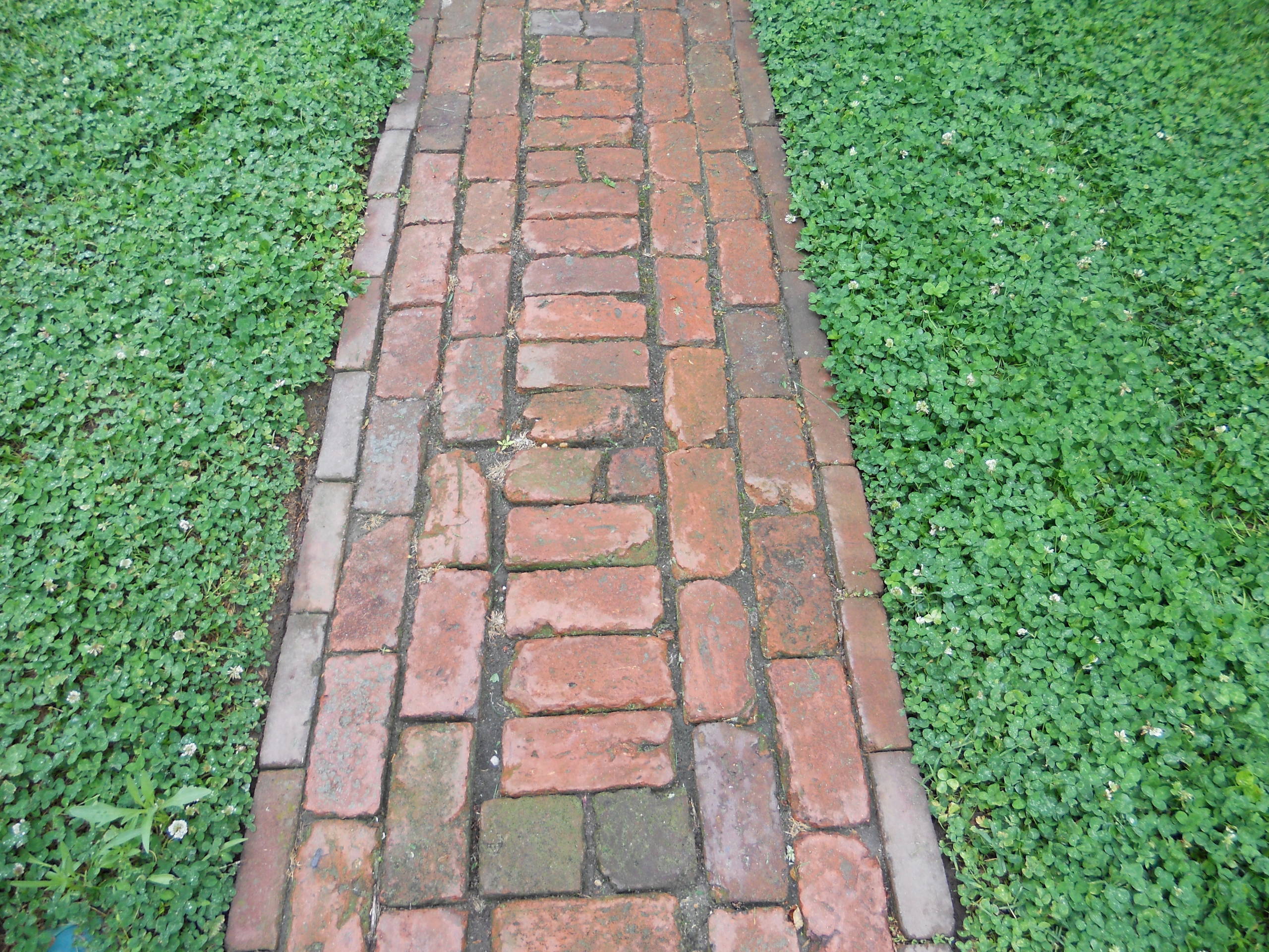 Spring Garden Ideas From Colonial Williamsburg