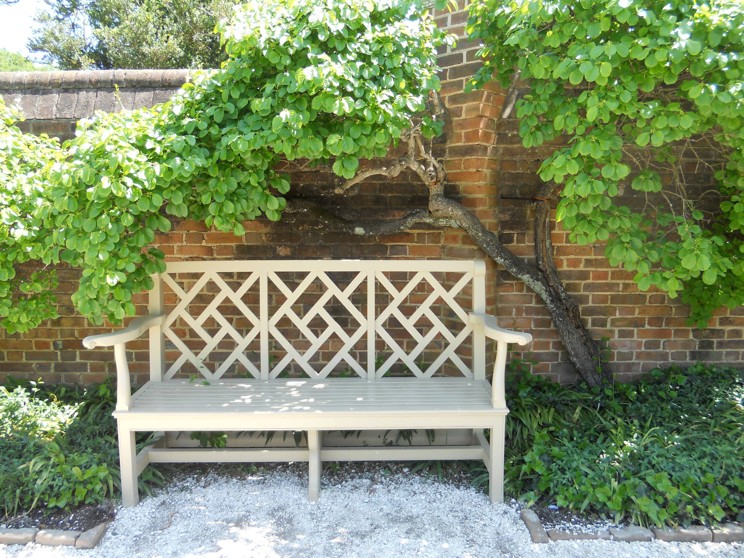 Spring Garden Ideas From Colonial Williamsburg
