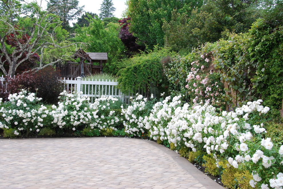 Classic Southern Charm - Traditional - Landscape - San Francisco - by ...