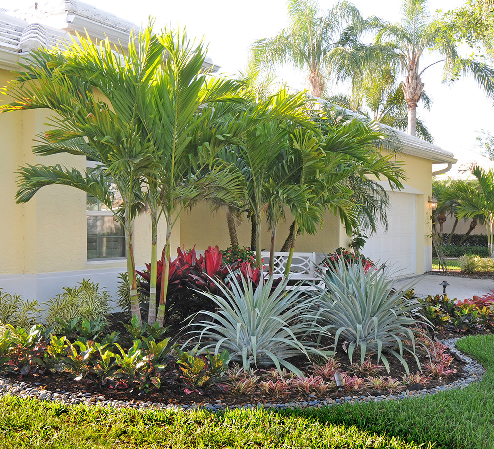 Clean-lined Color - Tropical - Landscape - Miami - by User | Houzz