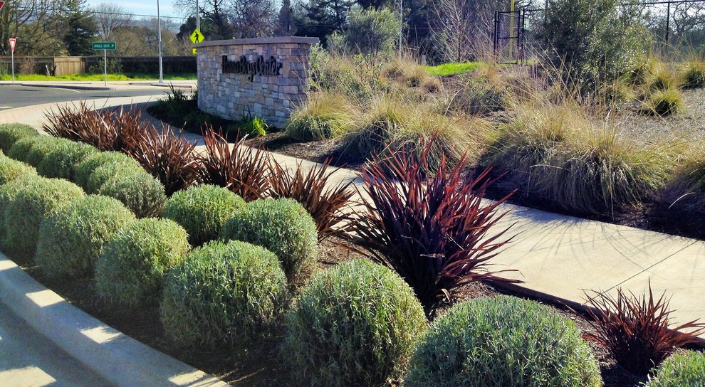 CMU Monument Wall - Contemporary - Landscape - San Francisco - by Reyes ...