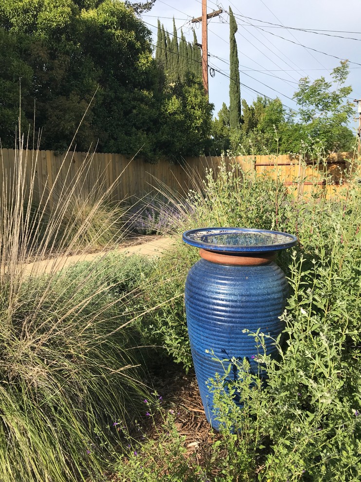 Cobalt blue pot with bird bath - Contemporary - Landscape - Other - by ...
