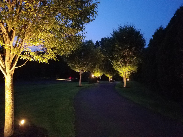 Cohesion, Contrast and Control Captures this Corridor of Light - Garden ...