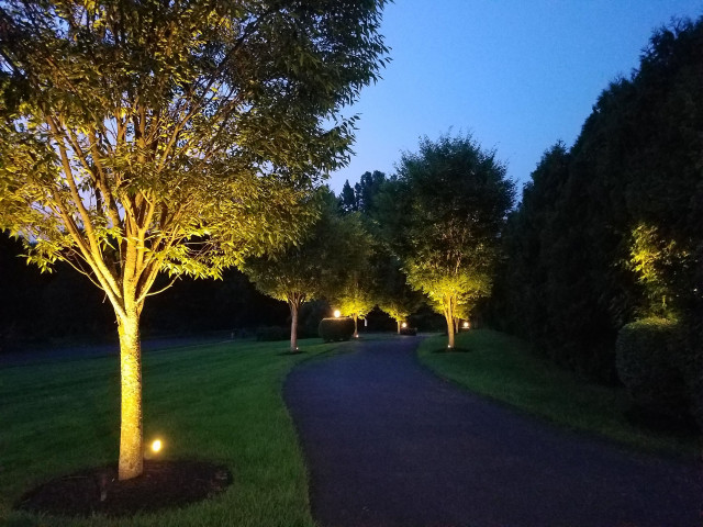 Cohesion, Contrast and Control Captures this Corridor of Light - Jardin ...