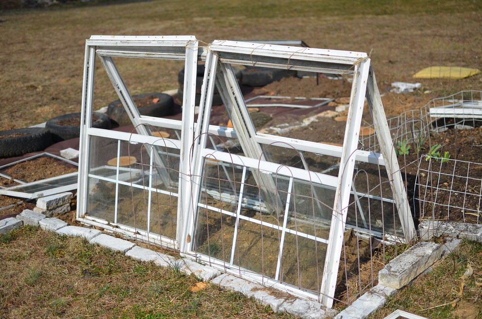 Cold Frame DIY - Eclectic - Landscape - Philadelphia - by Amy Renea | Houzz
