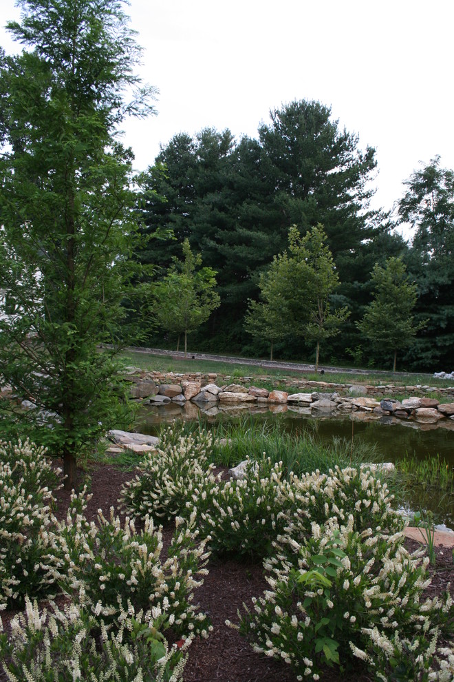 Colonial Farmhouse Landscape - Traditional - Landscape - Philadelphia ...