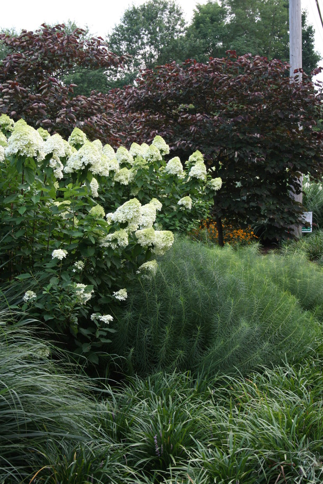 Colonial Farmhouse Landscape - Traditional - Garden - Philadelphia - by ...
