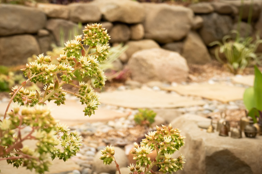 Colorful and Contemplative - Tropical - Garden - Santa Barbara - by ...