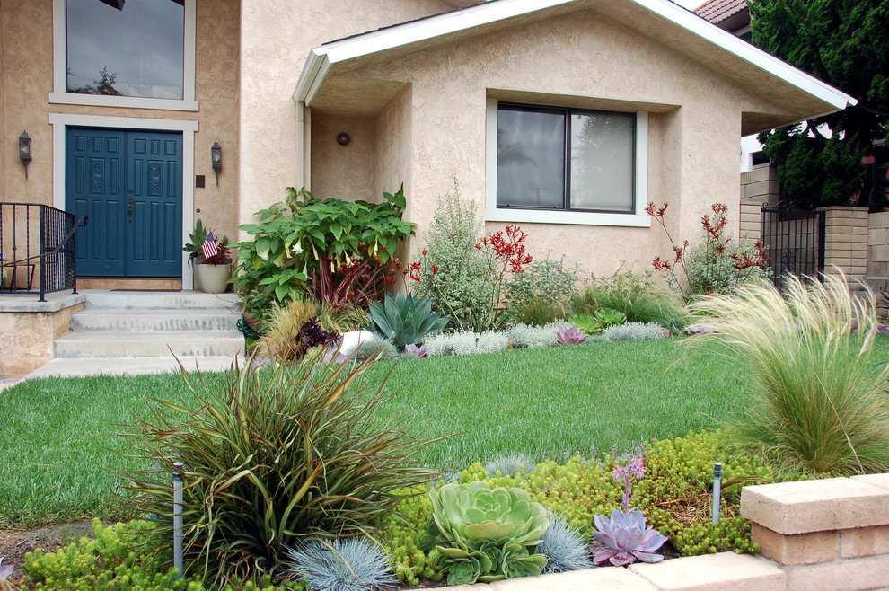 Colorful front yard - Contemporary - Landscape - Orange County - by ...
