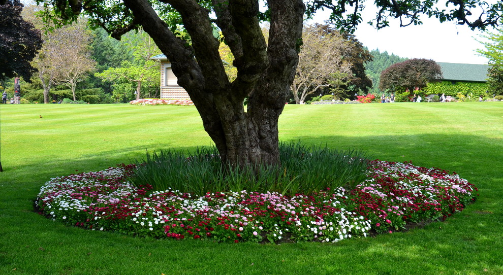 Colorful garden - Landscape - Other - by Noelle Johnson Landscape ...