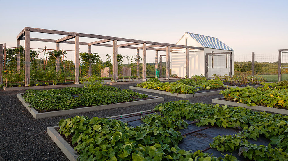 Columbia Farm - Transitional - Landscape - New York - by R. P. Marzilli ...