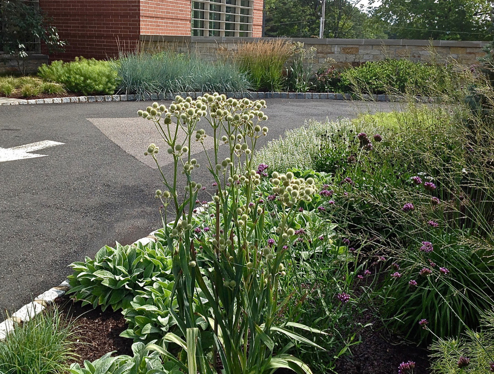Commercial Garden Space - Contemporary - Landscape - Philadelphia - by ...
