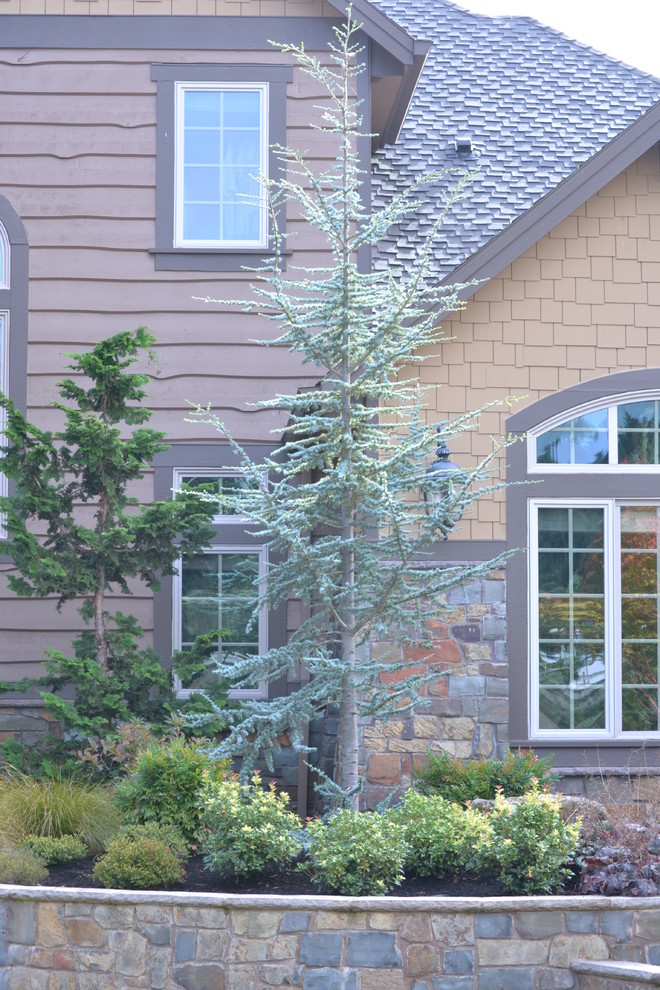 Complementary Trees - Contemporary - Landscape - Portland - by All ...