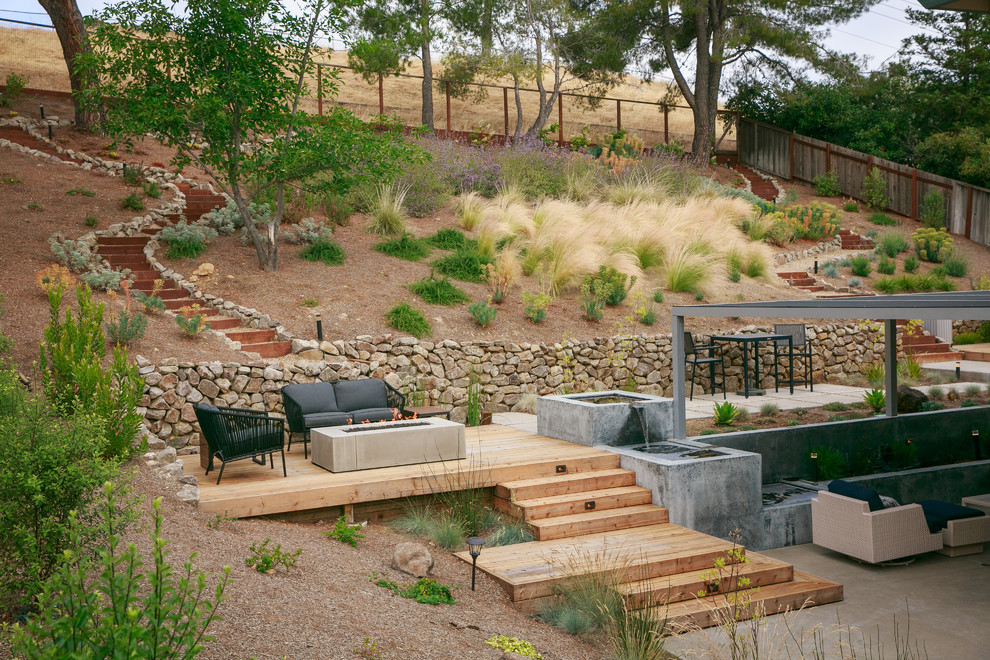 Concord - Contemporary - Landscape - San Francisco - by Envision ...