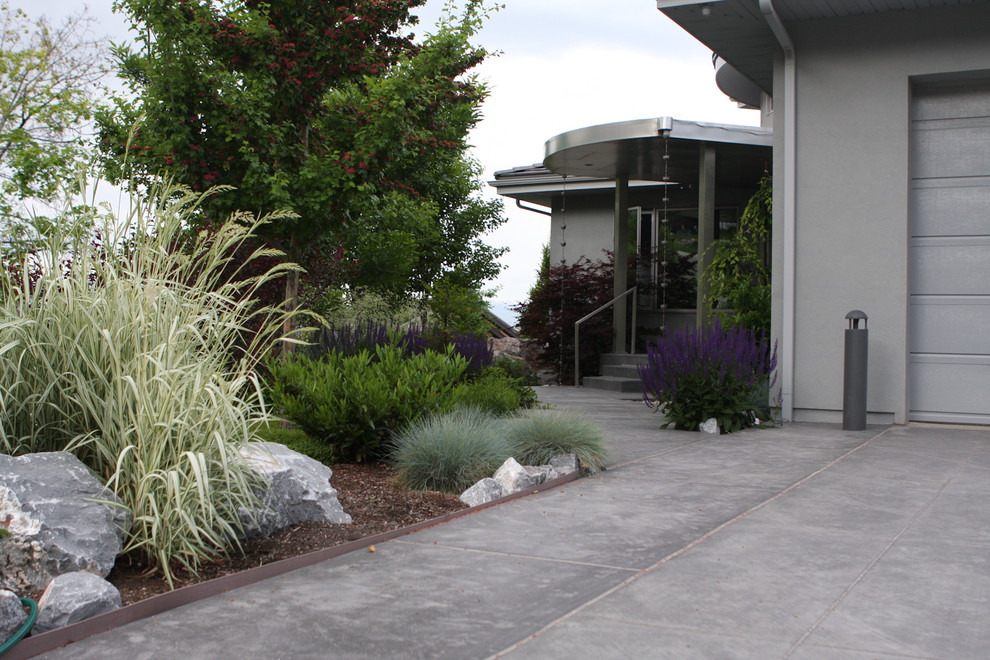Concrete Driveway and Sidewalk with Landscaping - Traditional ...