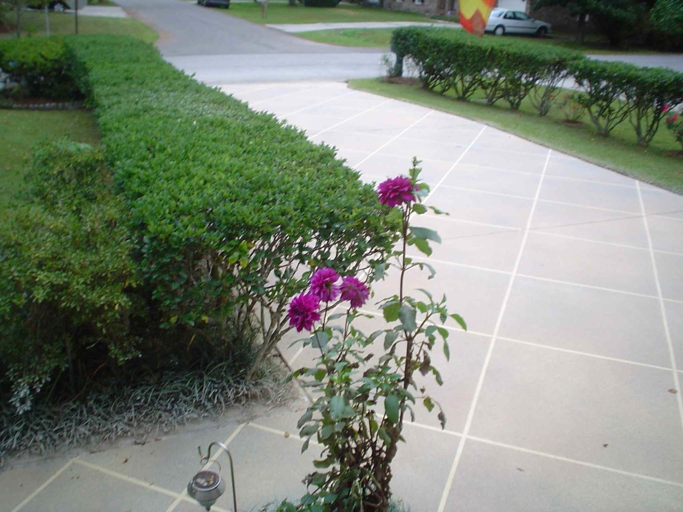 Concrete Portfolio - Traditional - Landscape - Charleston - by ...