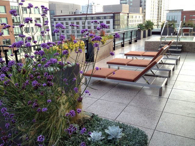 Condo Roof Garden and Atrium - Contemporary - Garden - San Francisco ...