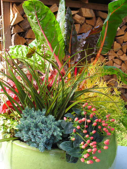 Stretch the Budget, Seasons and Style: Add Conifers to Your Containers