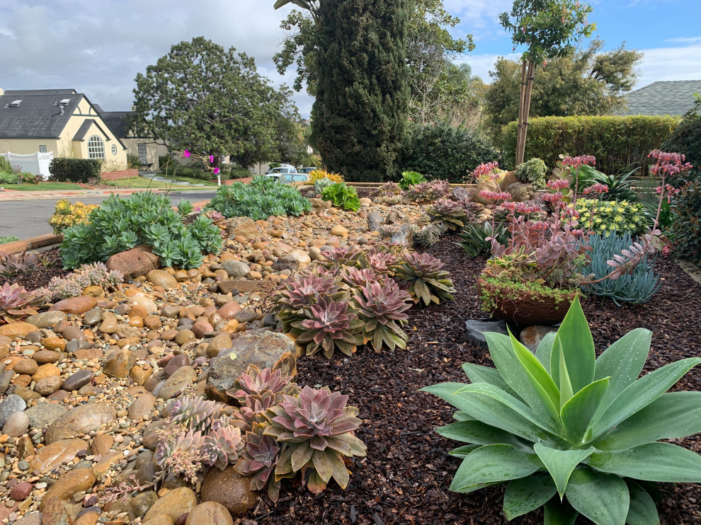 Connie S. - Transitional - Landscape - San Diego - by Sills Landscape ...
