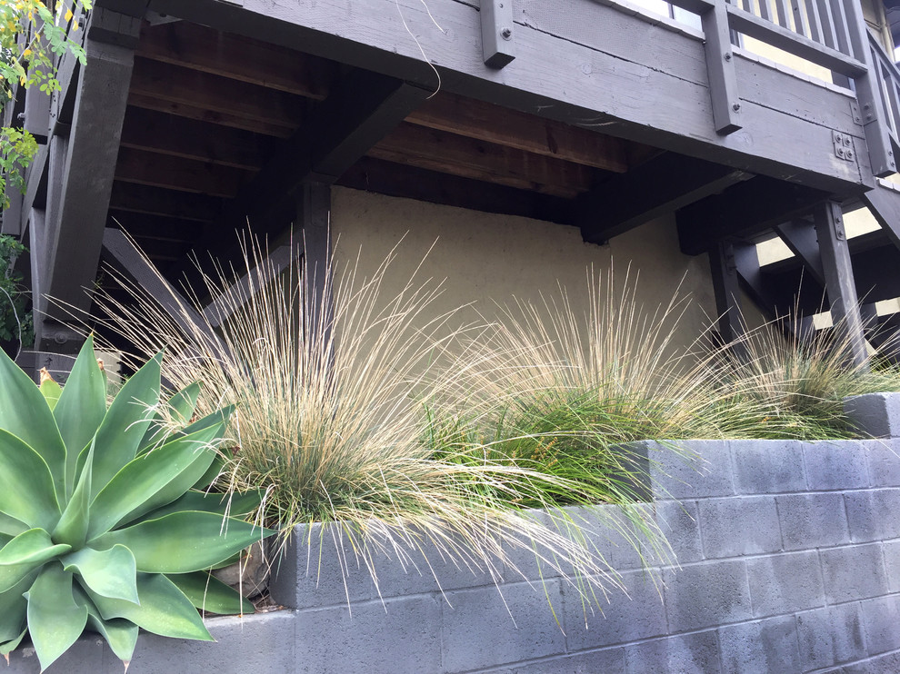 Conscious Stream Scape 2 Year Update - Silverlake - Contemporary ...