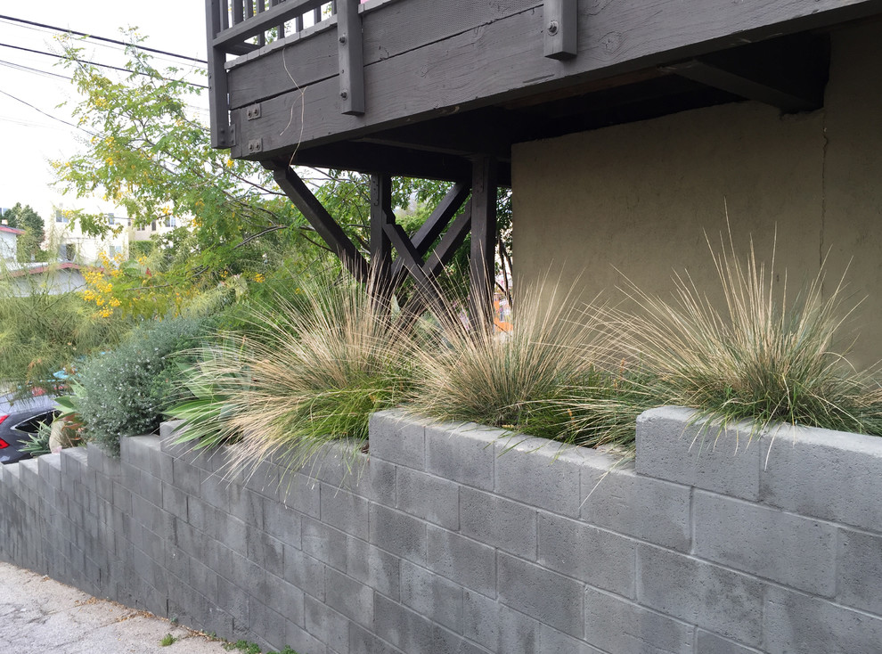 Conscious Stream Scape 2 Year Update - Silverlake - Contemporary ...