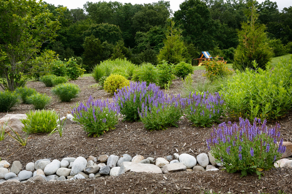 Conservation Meadowscape - Modern - Landscape - DC Metro - by West ...