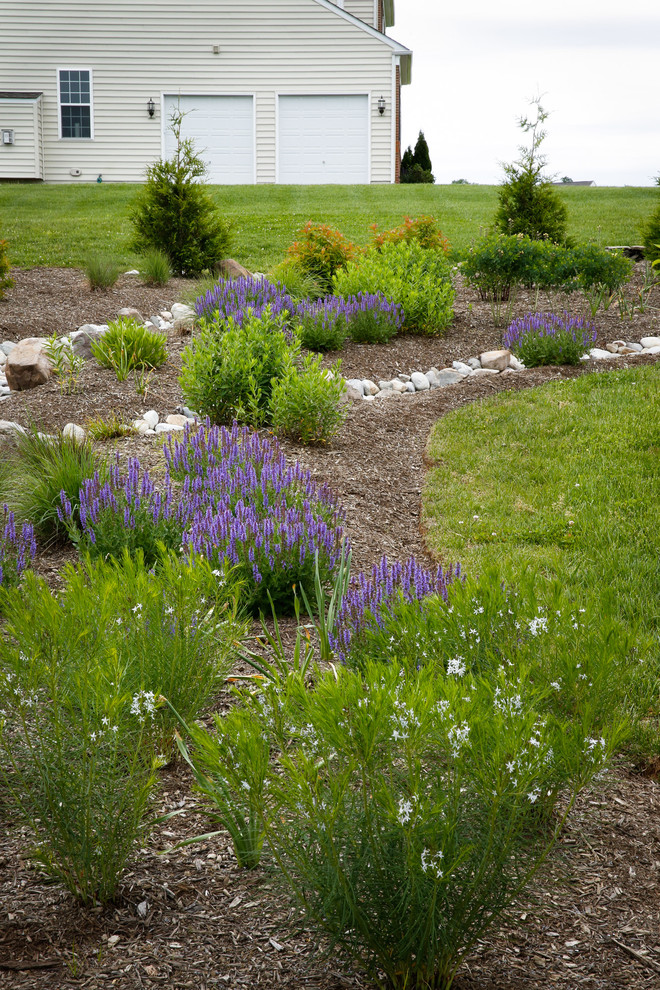 Conservation Meadowscape - Contemporary - Landscape - DC Metro - by ...