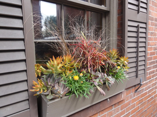 Container Gardens and Window Boxes - Contemporary - Garden - Boston ...