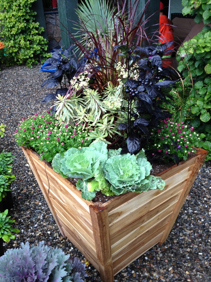 Container Gardens: Big! Bold! and Beautiful! - Eclectic - Landscape ...