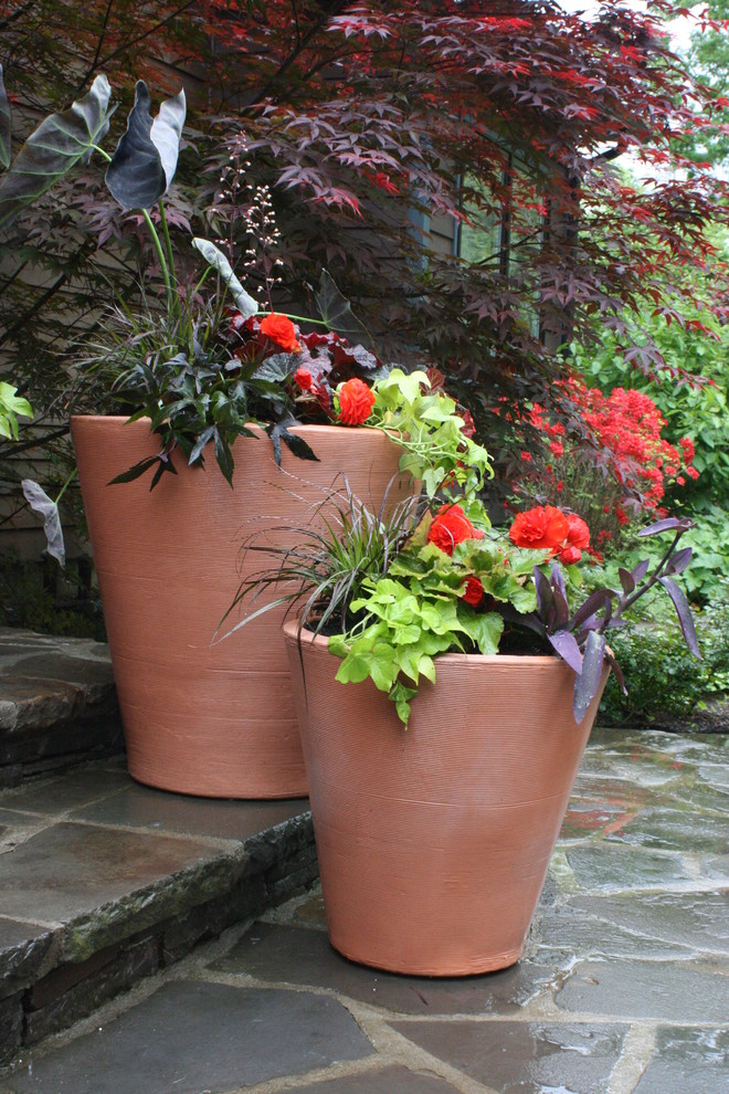 Container Gardens - Contemporary - Garden - New York - by Bloom ...