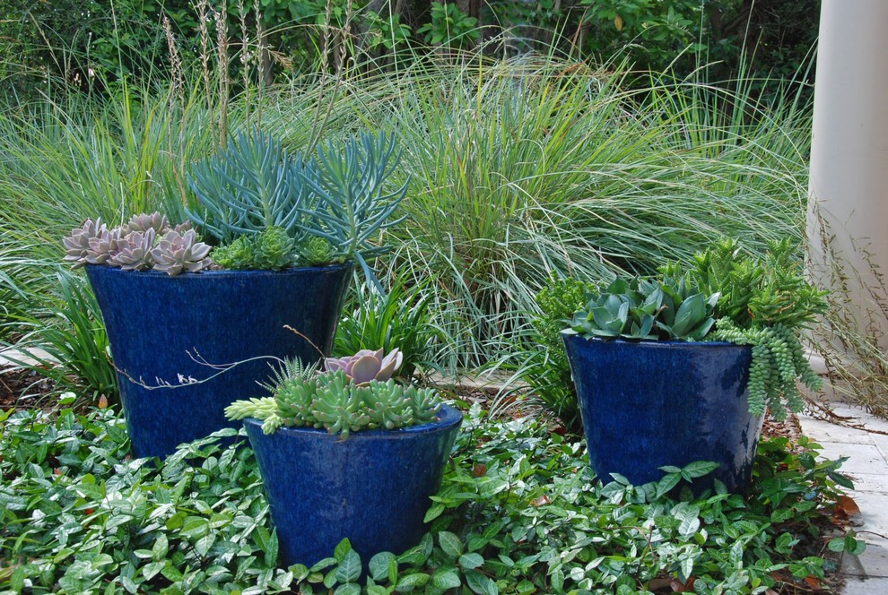 Container Gardens - Traditional - Landscape - Orlando - by City ...