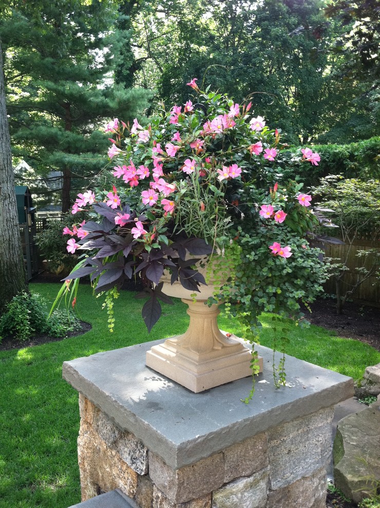 Container Gardens - Landscape - New York - by Cording Landscape Design ...